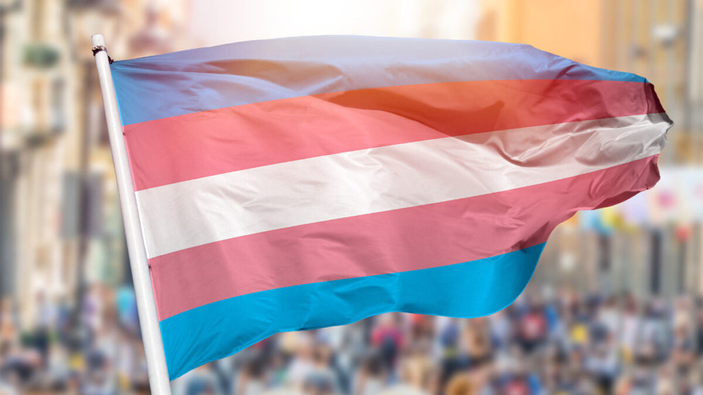 bandera-orgullo-trans | La Mosquitera